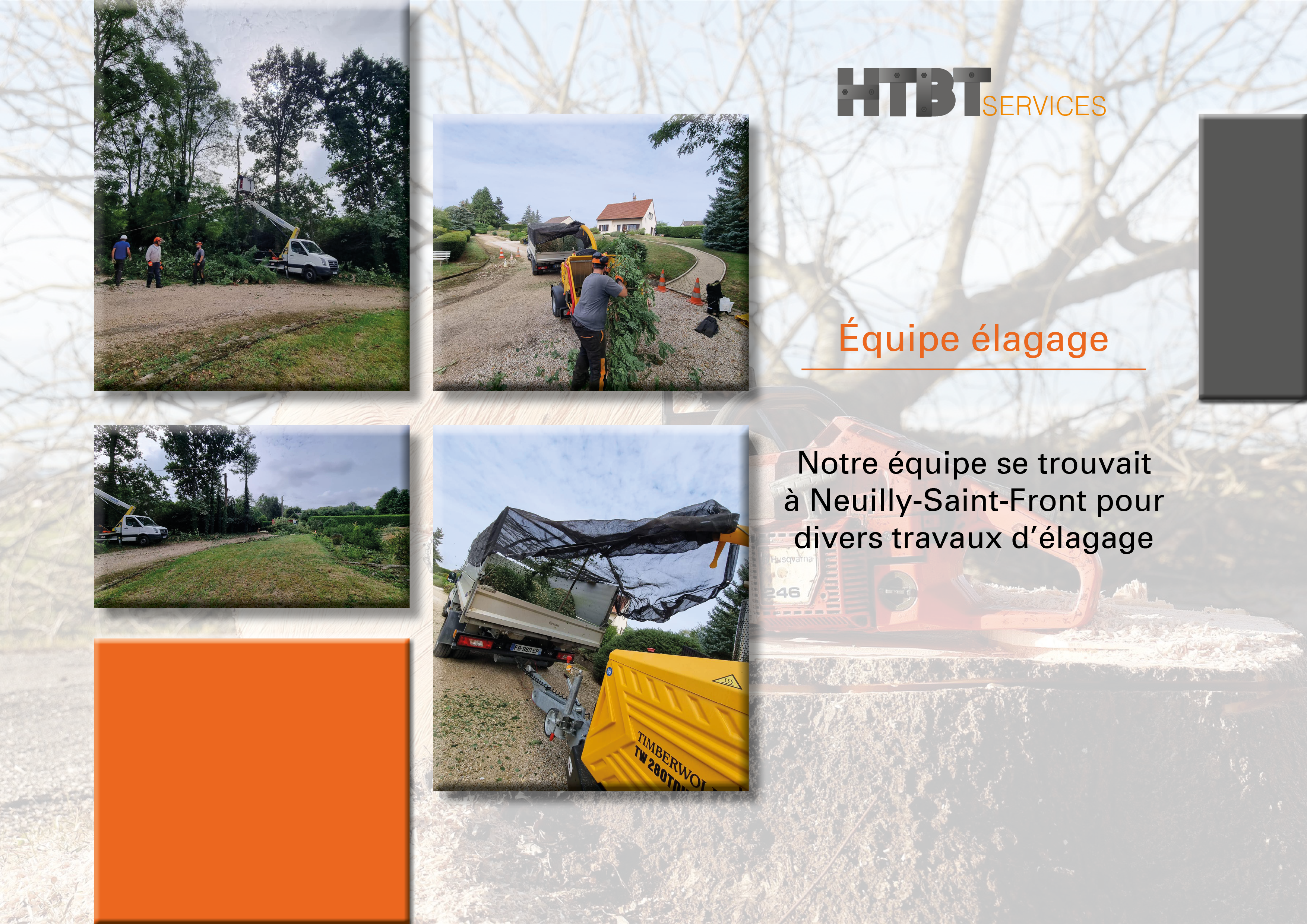 Divers travaux d’élagage | HTBT