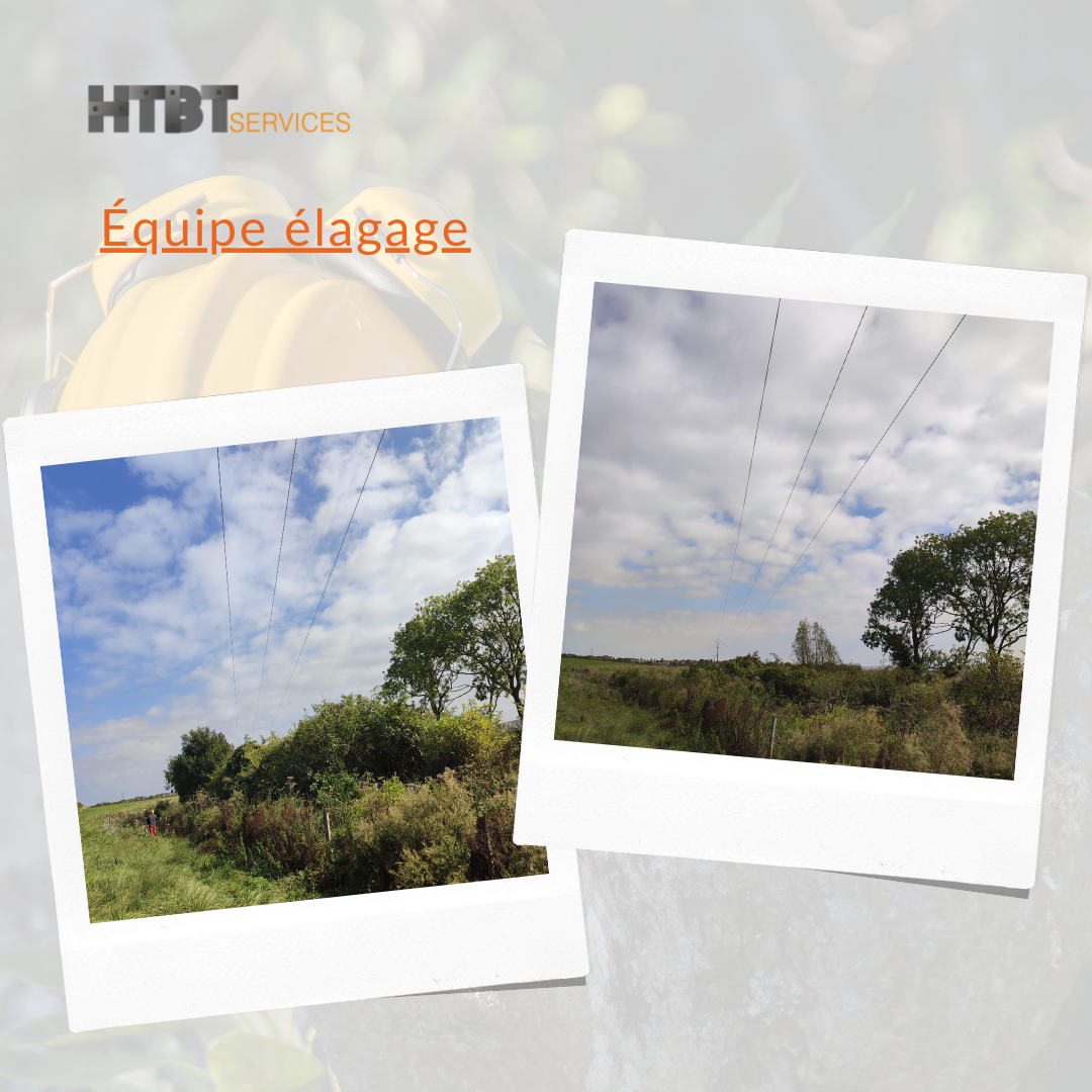 Elagage HTA Réseau nu | HTBT Elagage HTA Réseau nu | HTBT